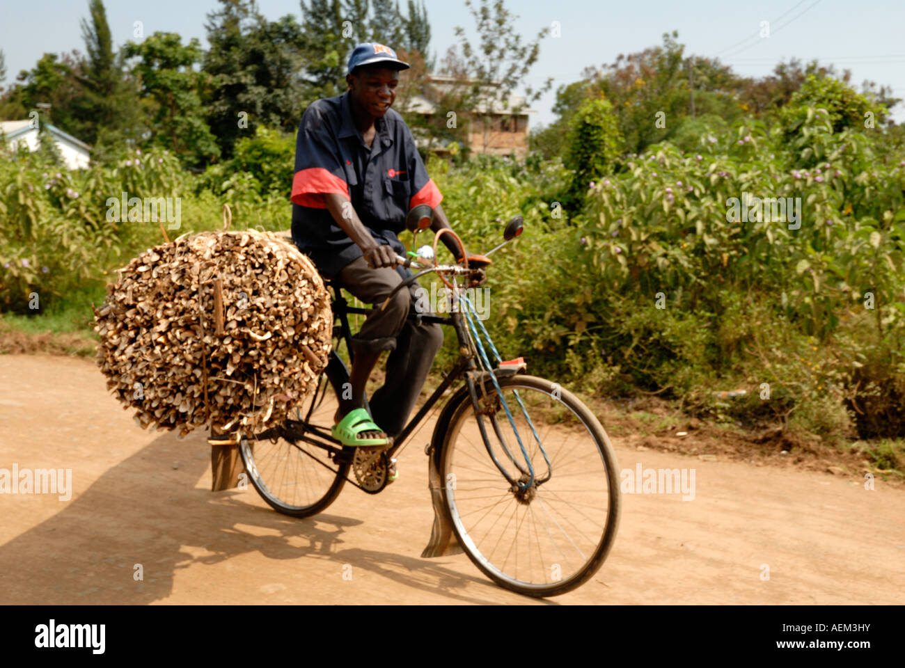 Man Carrying Papyrus Bundle High Resolution Stock Photography and ...