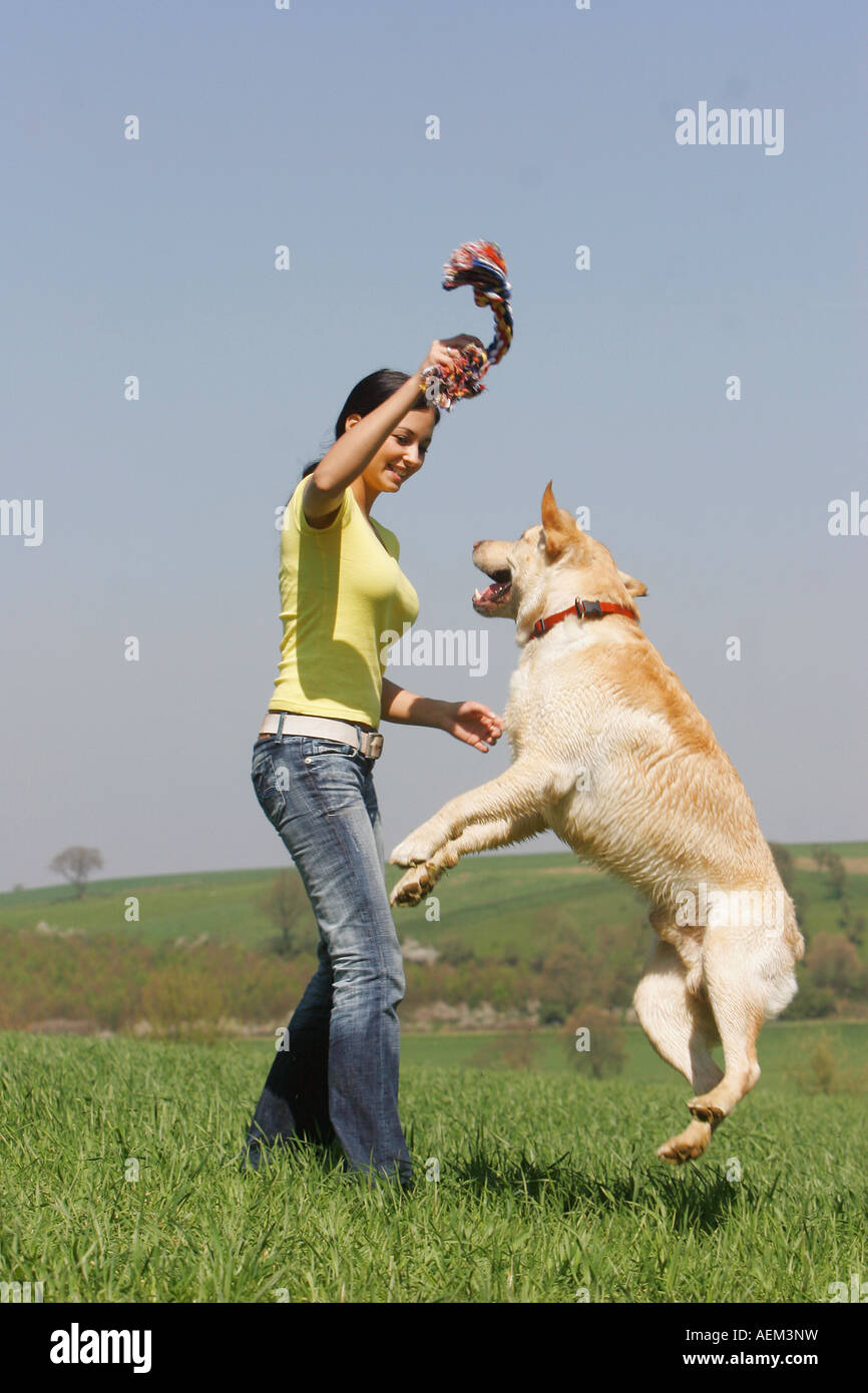 young woman and Labrador Retriever - playing on meadow Stock Photo - Alamy