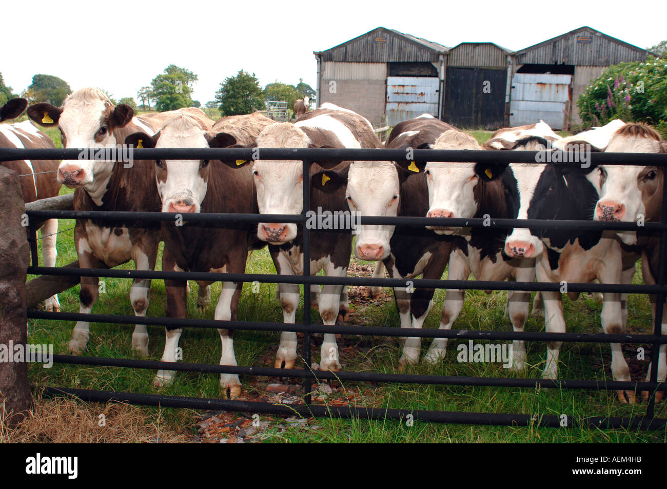 Stop barrier to an open field hi-res stock photography and images - Alamy