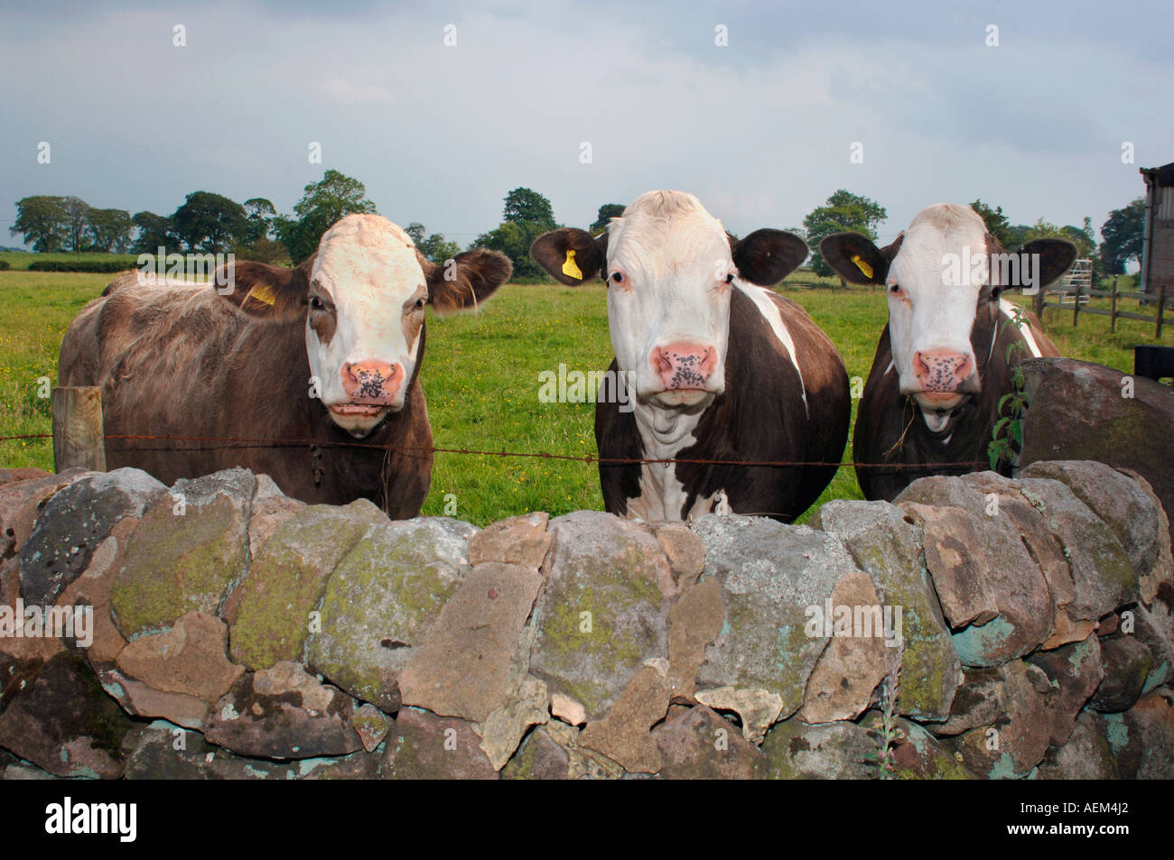 Stop barrier to an open field hi-res stock photography and images - Alamy