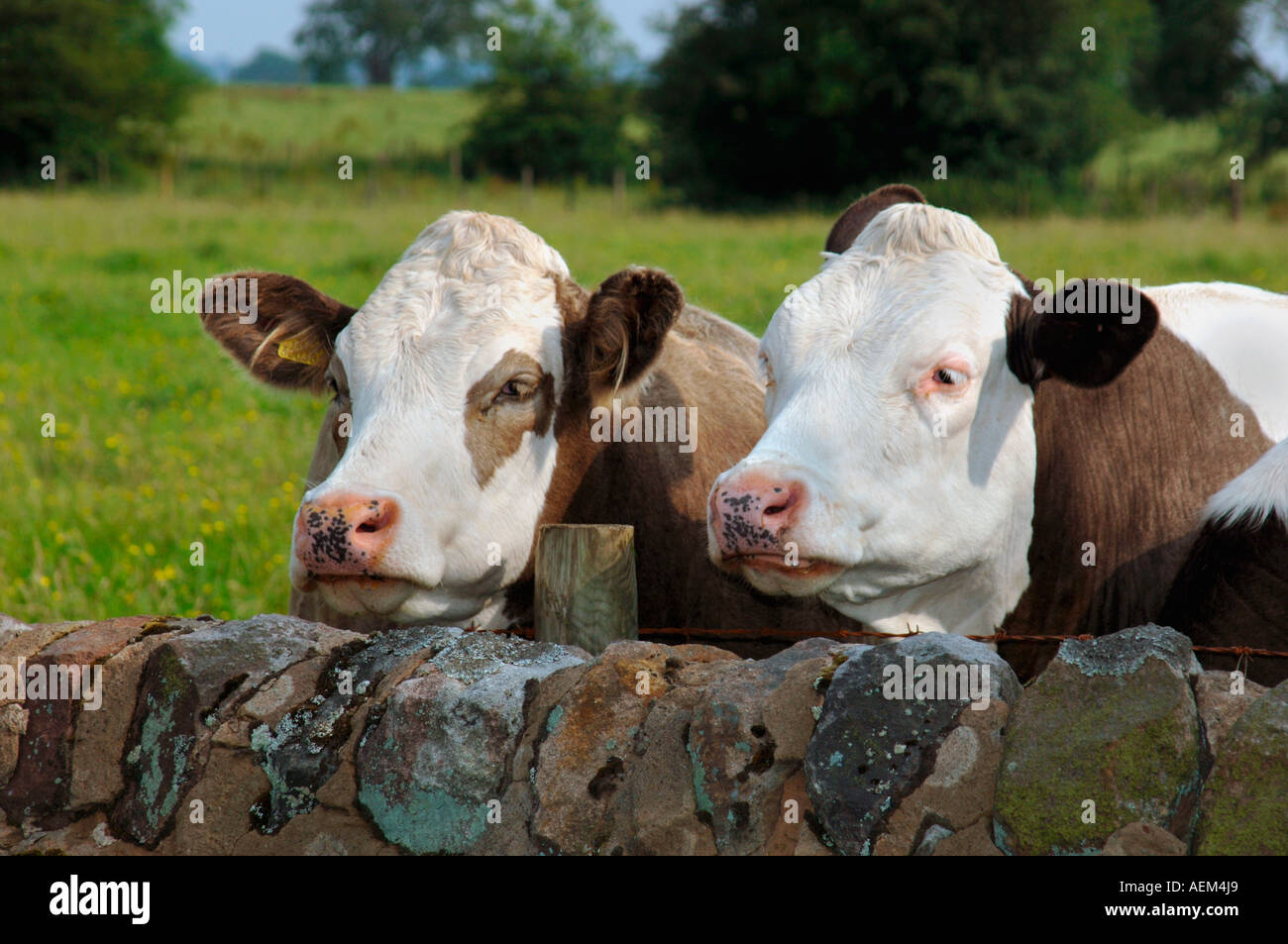 Stop barrier to an open field hi-res stock photography and images - Alamy