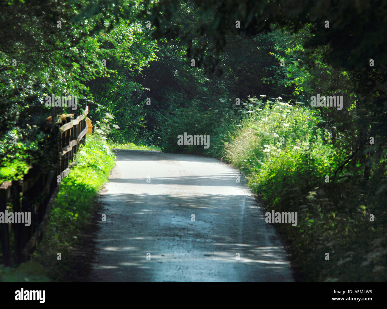 Lane nature hi-res stock photography and images - Alamy