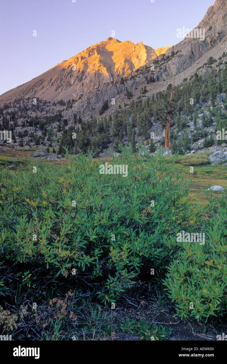 Alpenglow on the peaks near Rae Lakes in Kings Canyon National Park ...