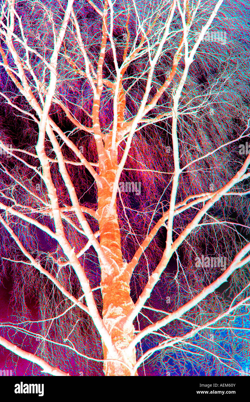 Negative effect hi-res stock photography and images - Alamy