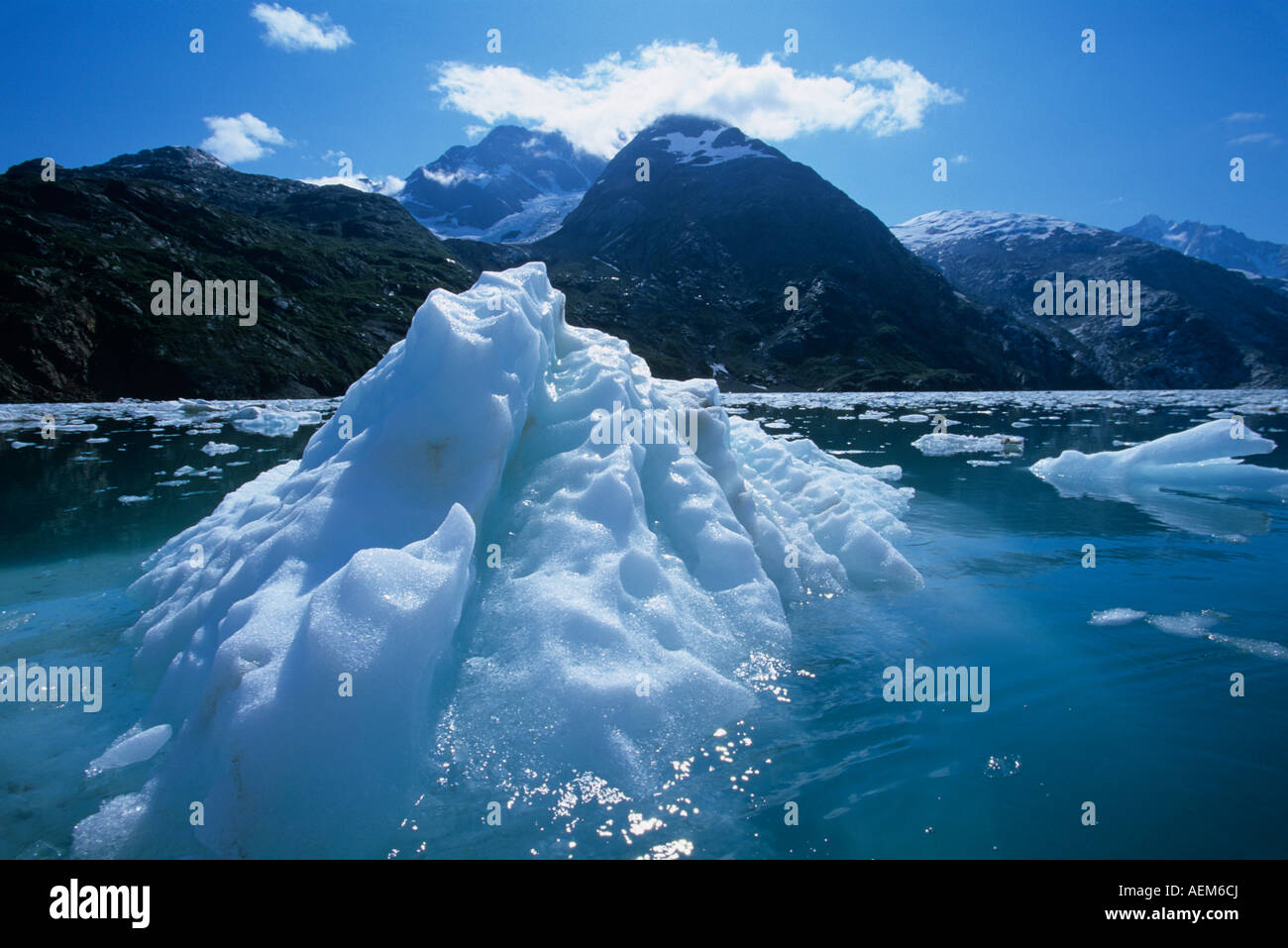 USA Alaska Glacier Bay National Park Iceberg floats in Johns Hopkins ...