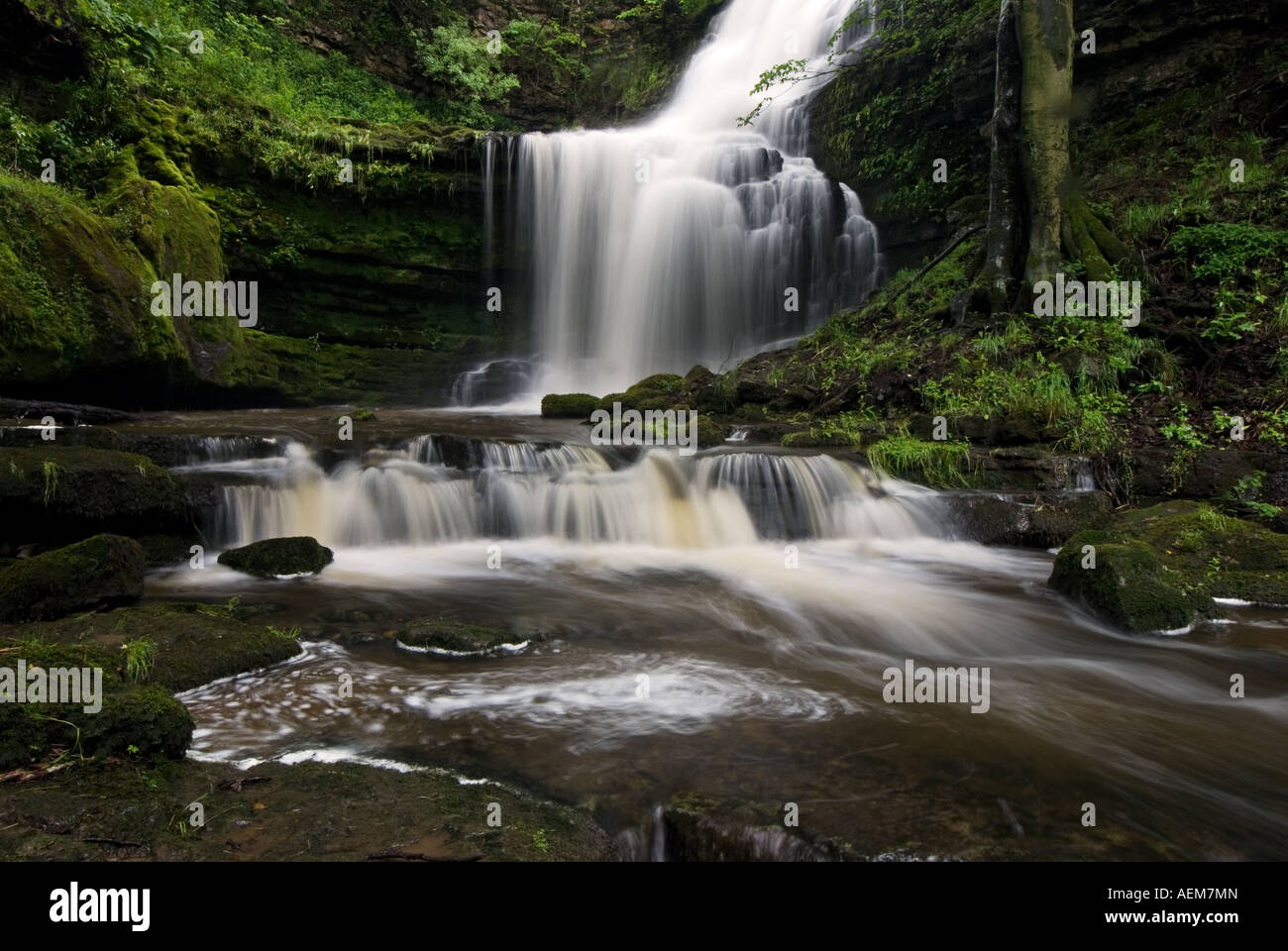Scaleber Force waterfall near Settle, Yorkshire Stock Photo - Alamy