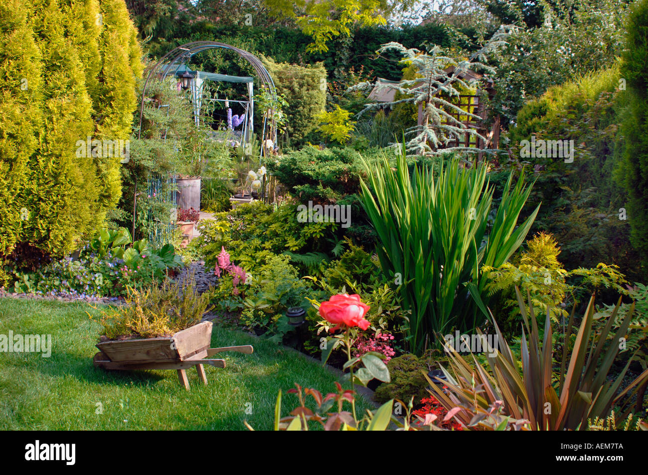 Su scale hi-res stock photography and images - Alamy