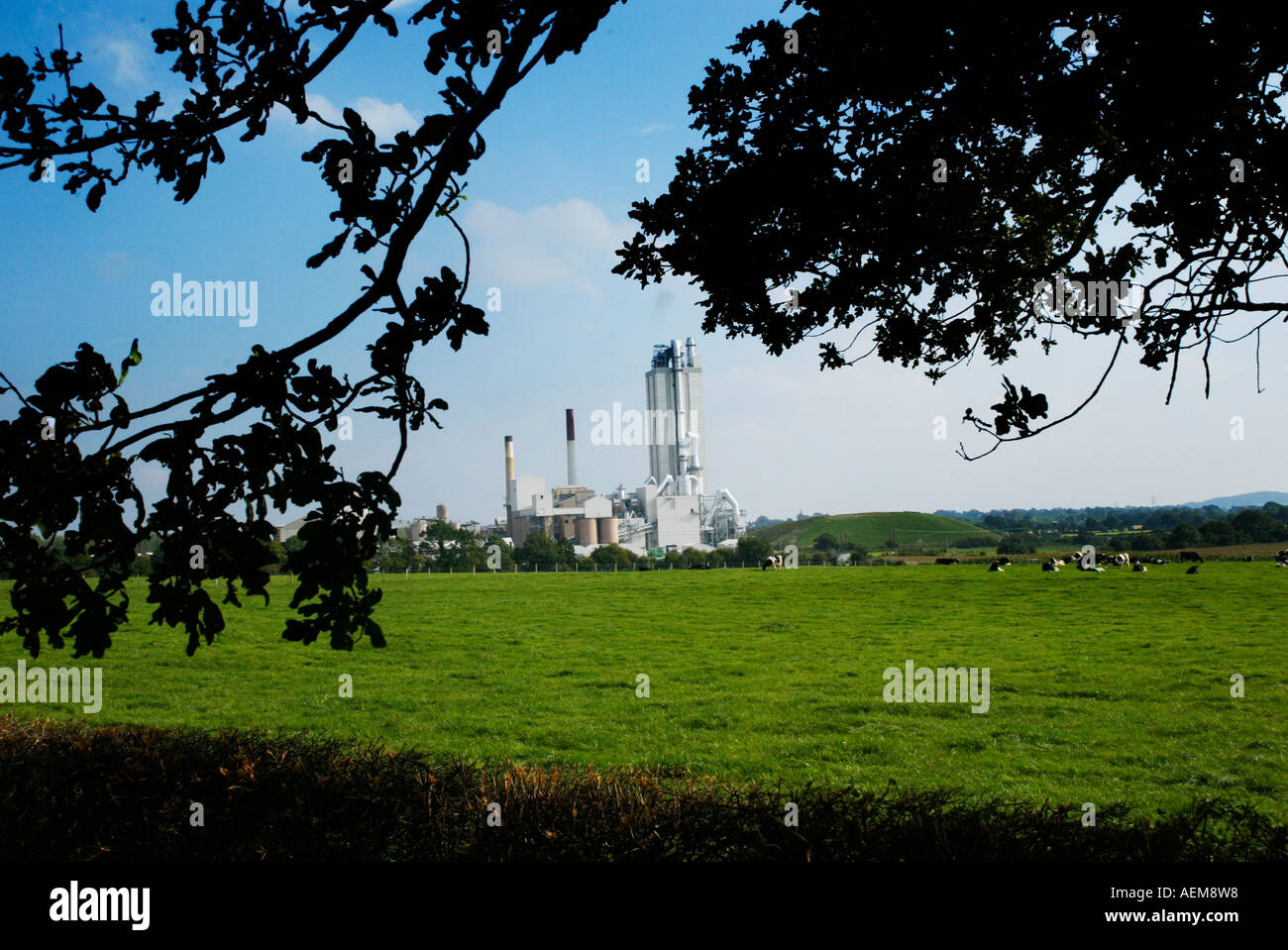 Mold flintshire hi-res stock photography and images - Alamy