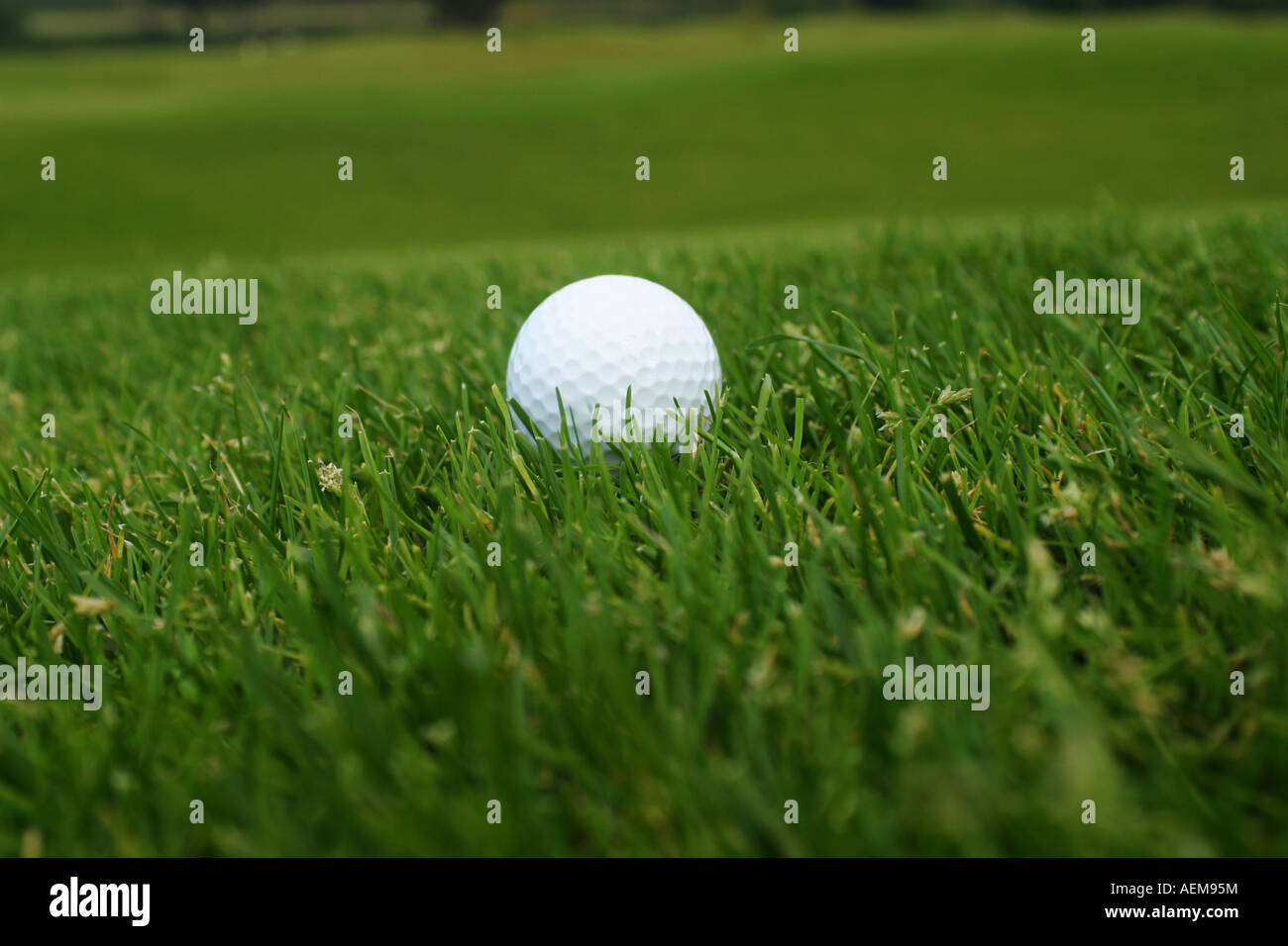 Golf ball on a golf course Stock Photo - Alamy