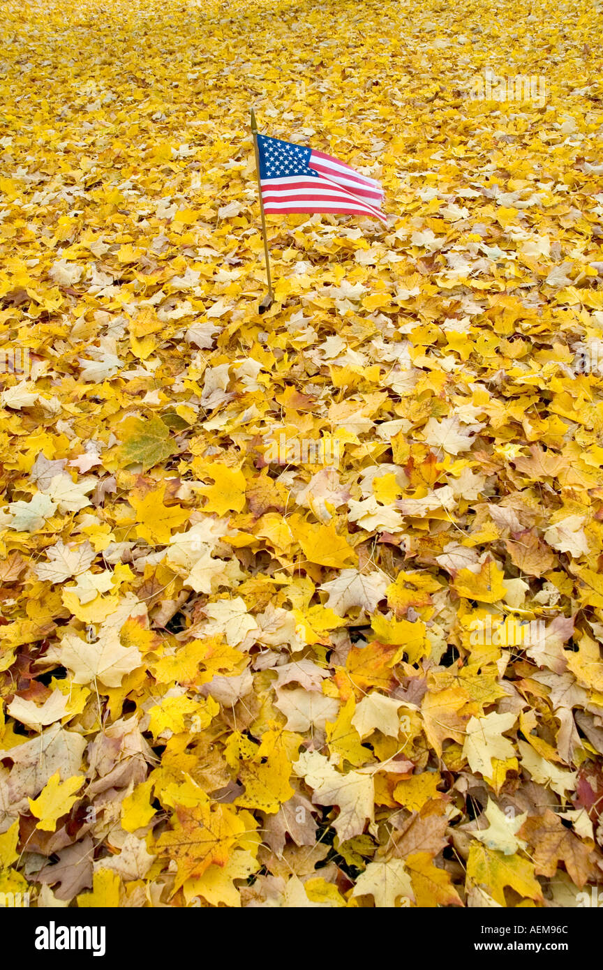 Autumn leaves surround a lone American flag at a cemetery Stock Photo ...
