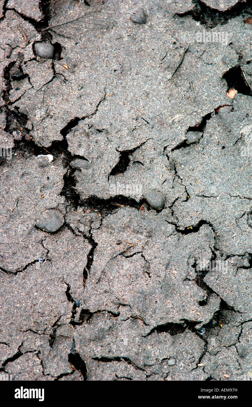 Cracked dried soil hi-res stock photography and images - Alamy