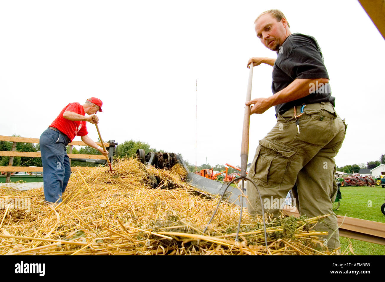 Local farmers demonstrate thrashing oats using techniques in a circa ...