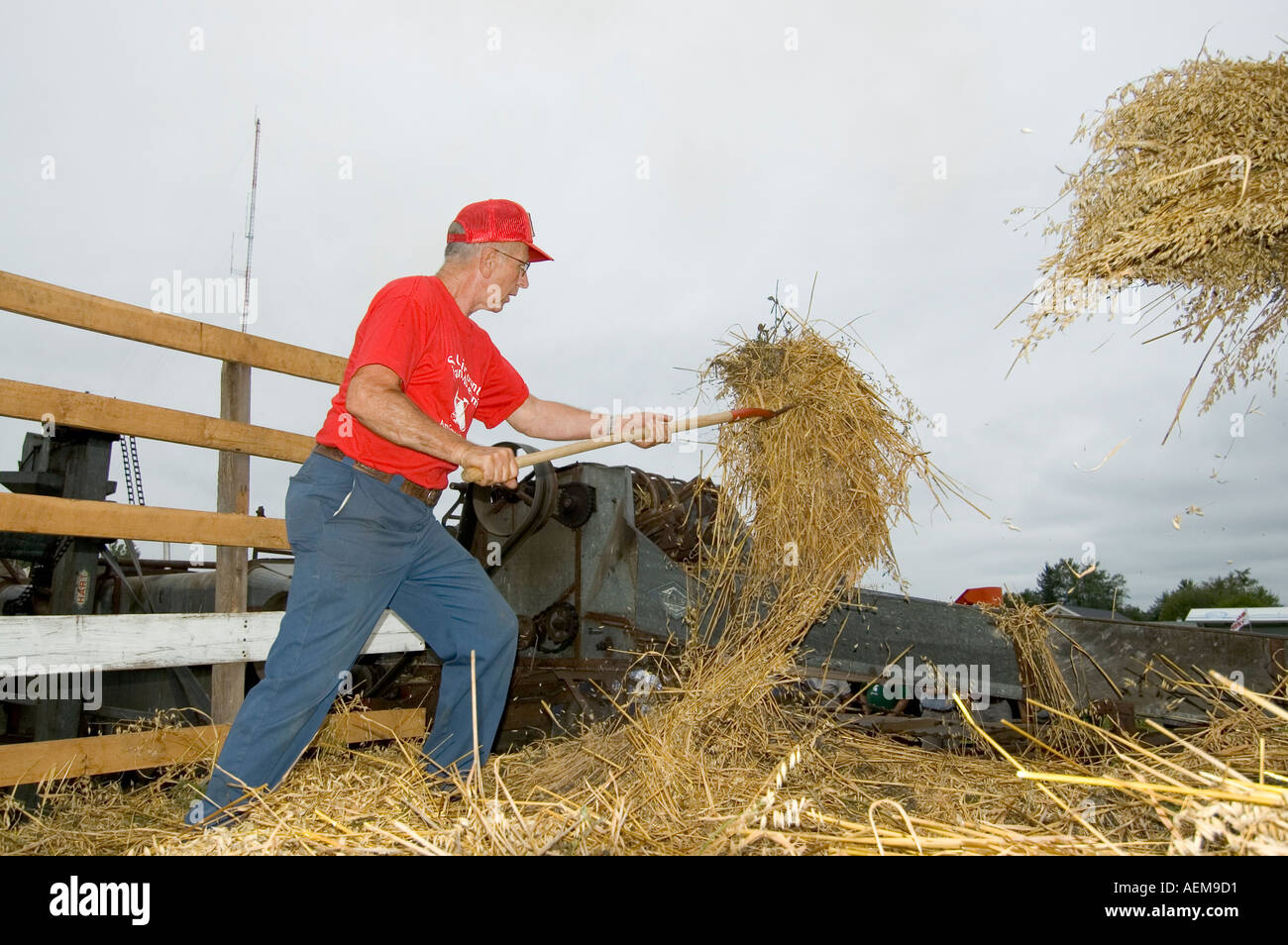 Local farmers demonstrate thrashing oats using techniques in a circa ...