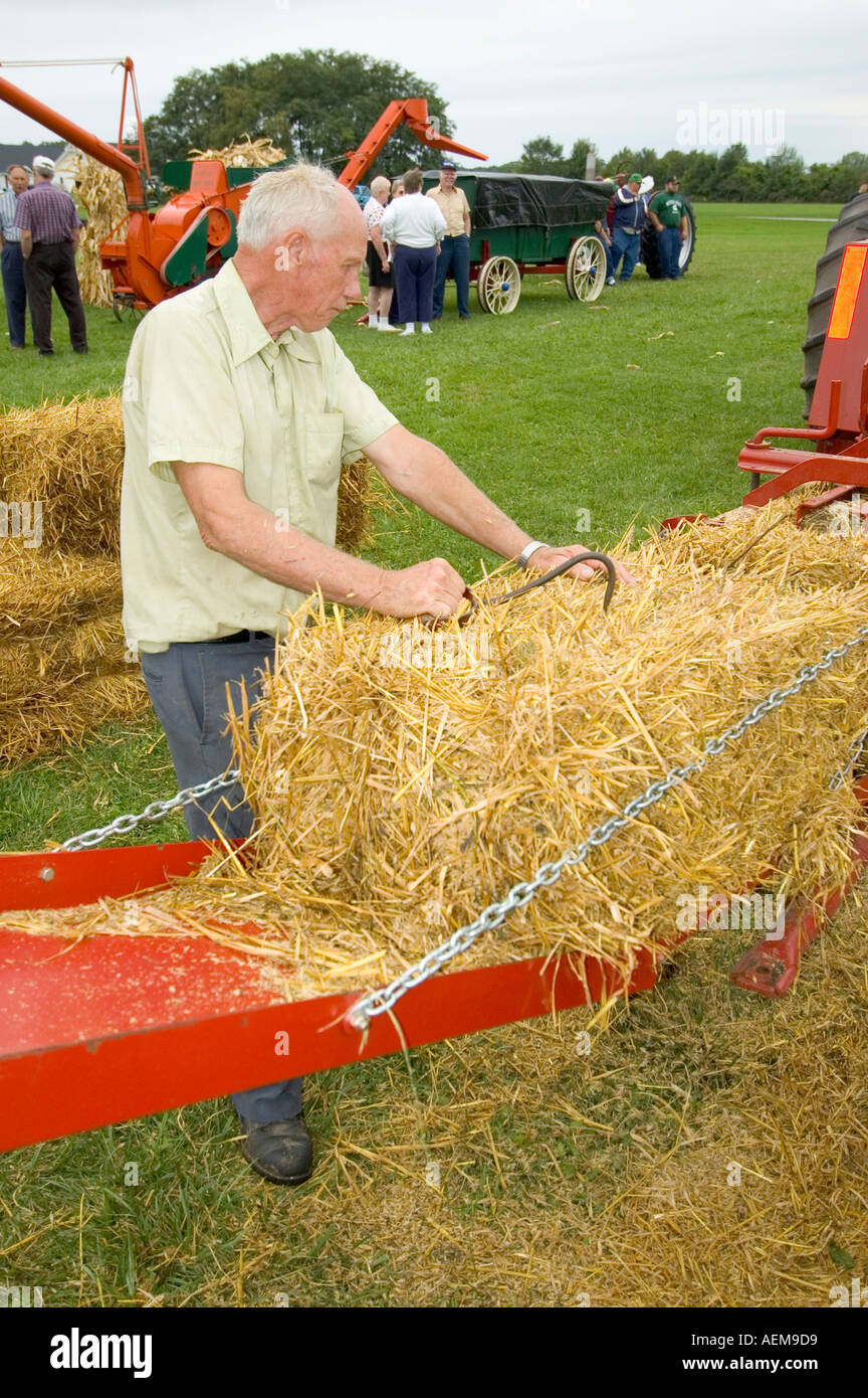Hay harvest circa hi-res stock photography and images - Alamy