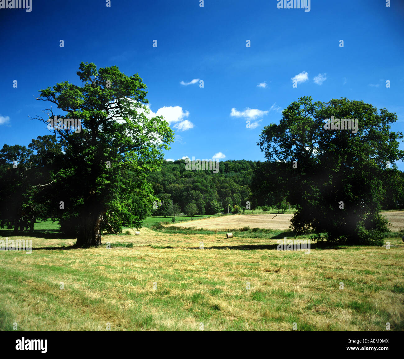 Byford hi-res stock photography and images - Alamy