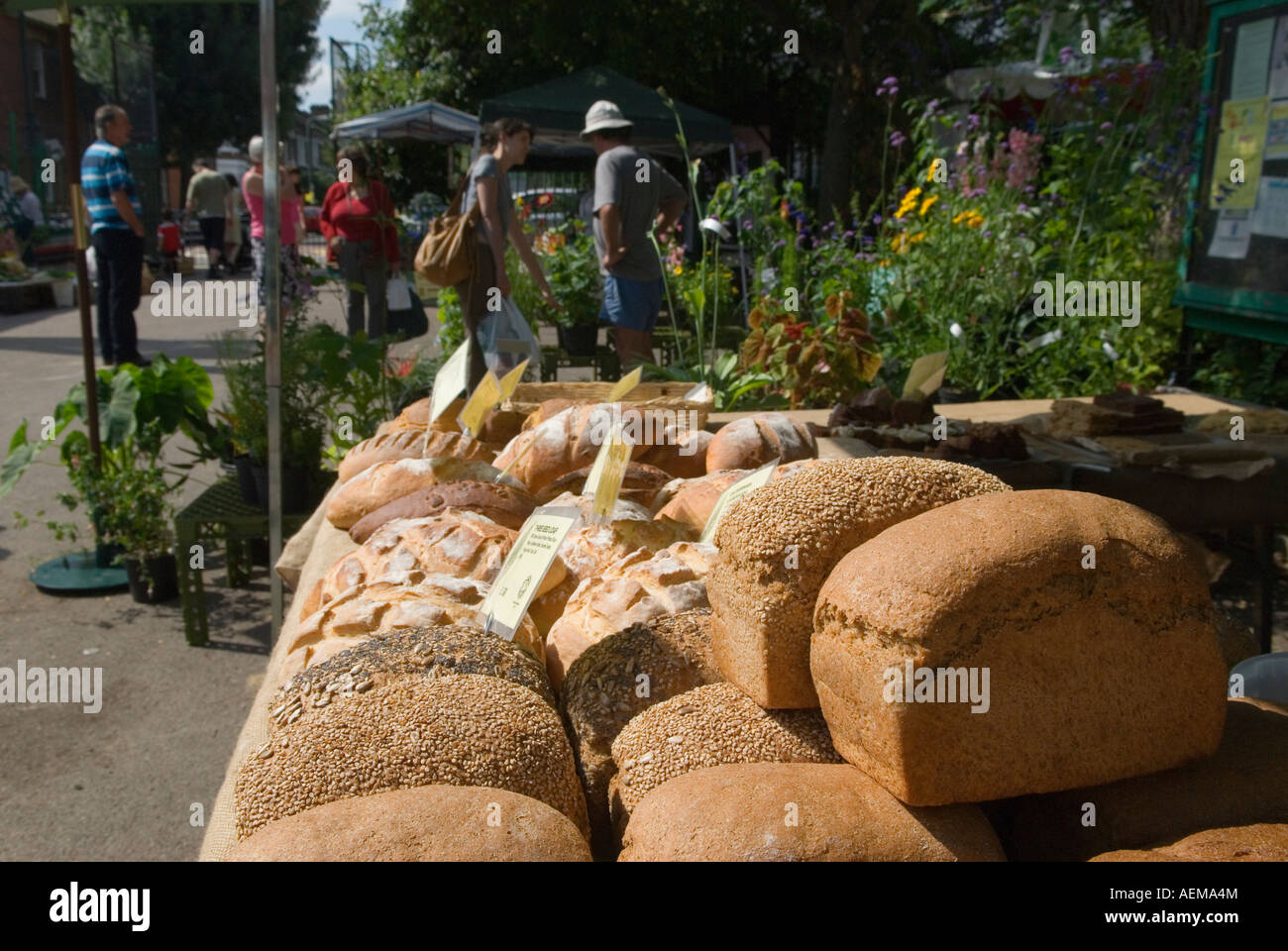 Loafs of brown bread speciality breads. Artisan bread loaves for a ...