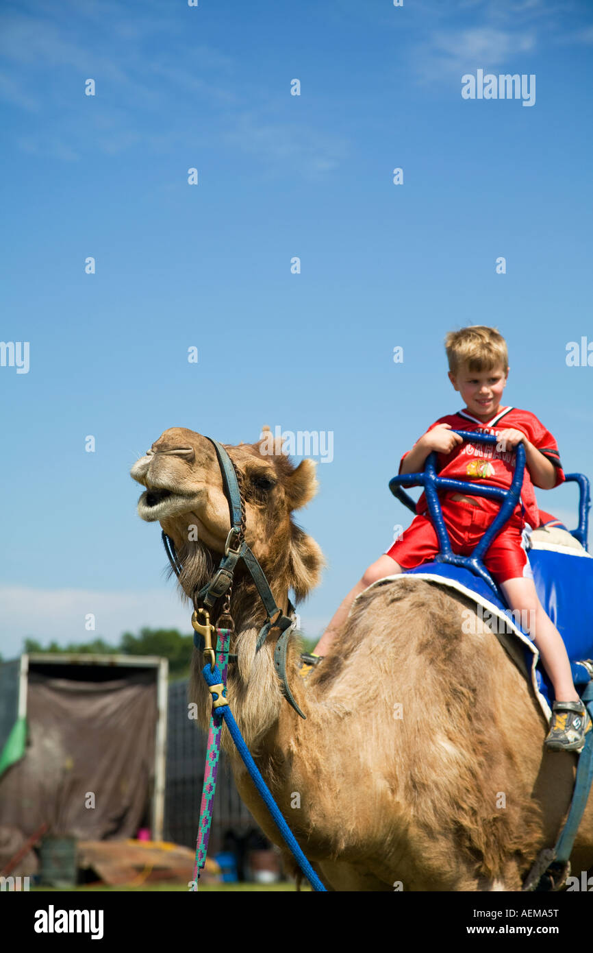 ILLINOIS Grayslake Young boy ride camel at Lake County Fair sit saddle ...