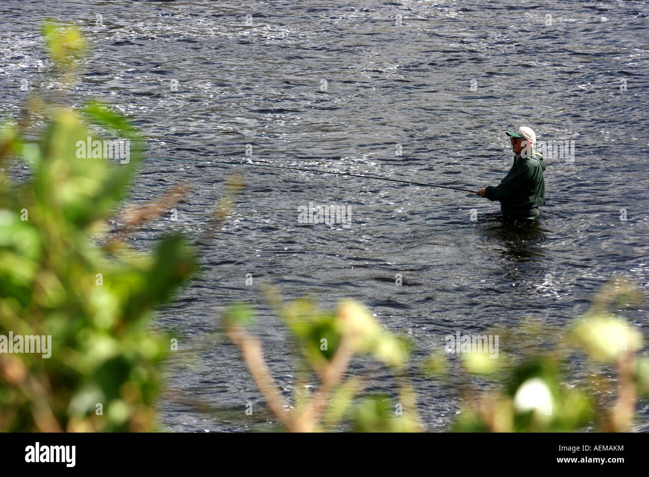 Angler fishing for salmon at the Ridge Pool in the River Moy, Ballina ...