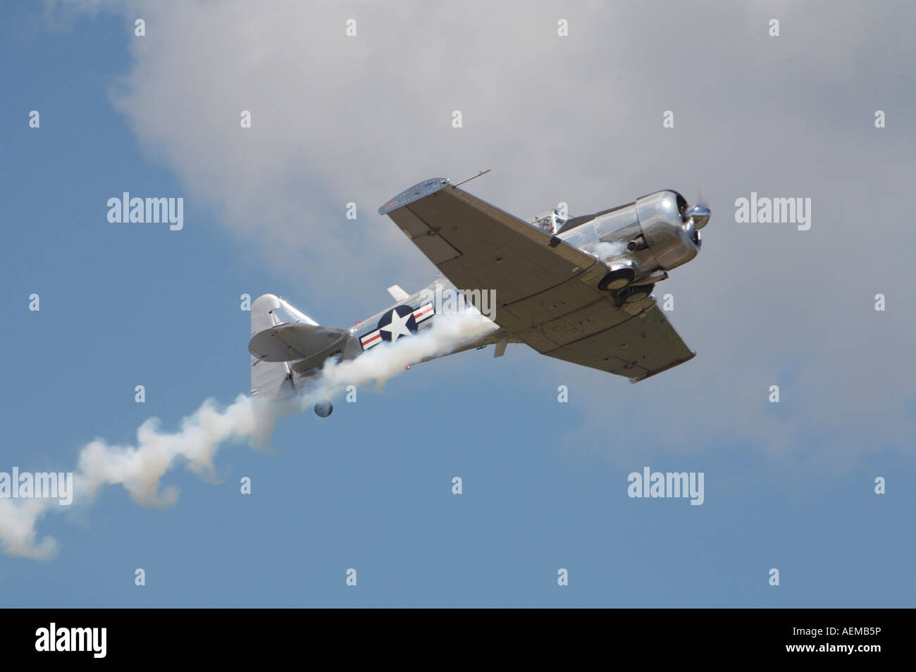 T 6 Texan North American Harvard or T 6 Texan or SNJ WW2 military ...
