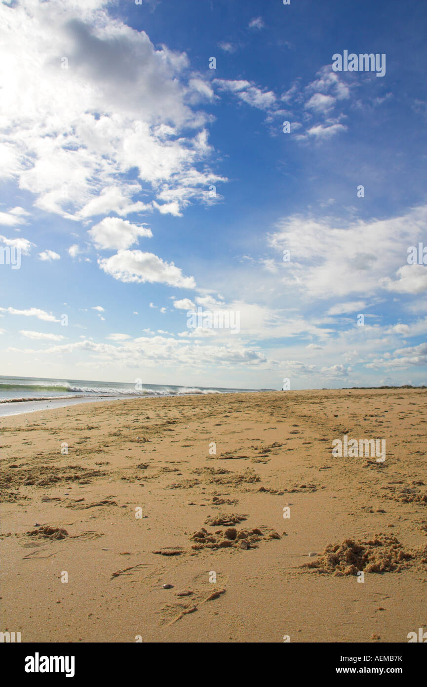 Empty and wild beach Stock Photo - Alamy