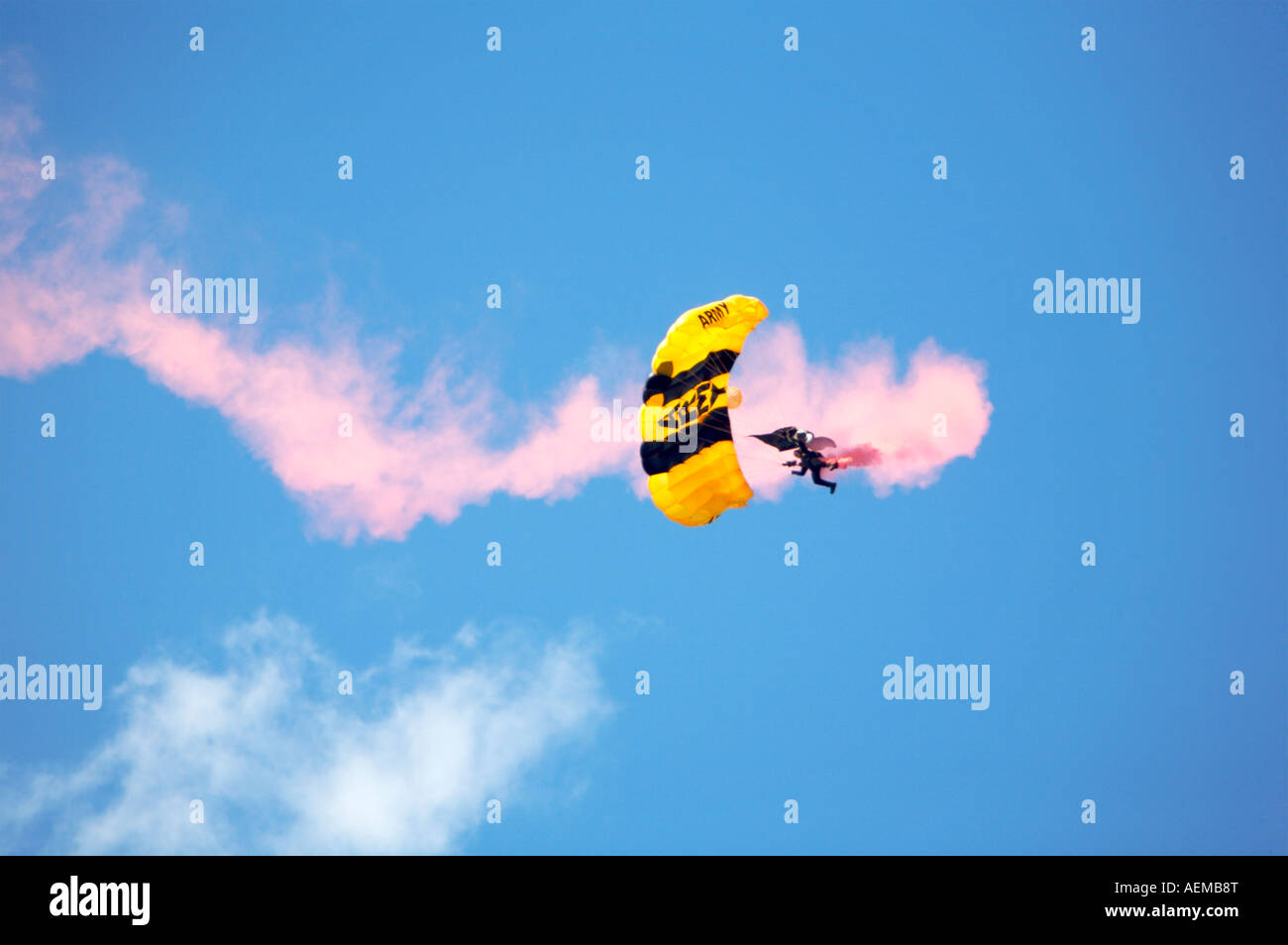 US Army Parachute Team the Golden Knights Stock Photo - Alamy