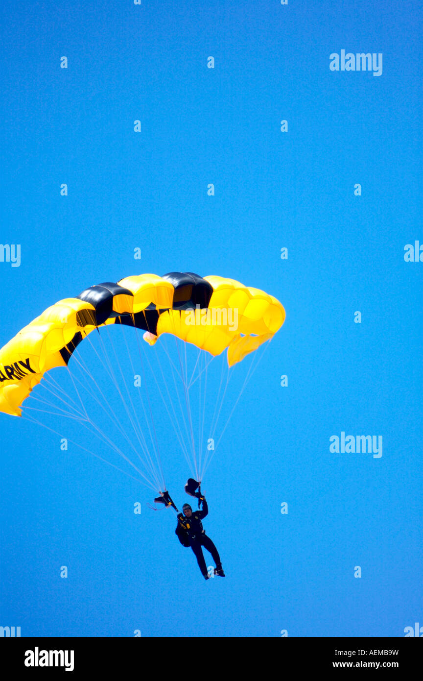 US Army Parachute Team the Golden Knights Stock Photo - Alamy