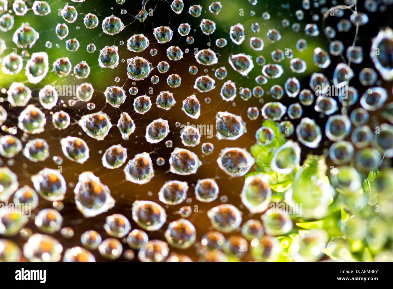 Connected drops hi-res stock photography and images - Alamy