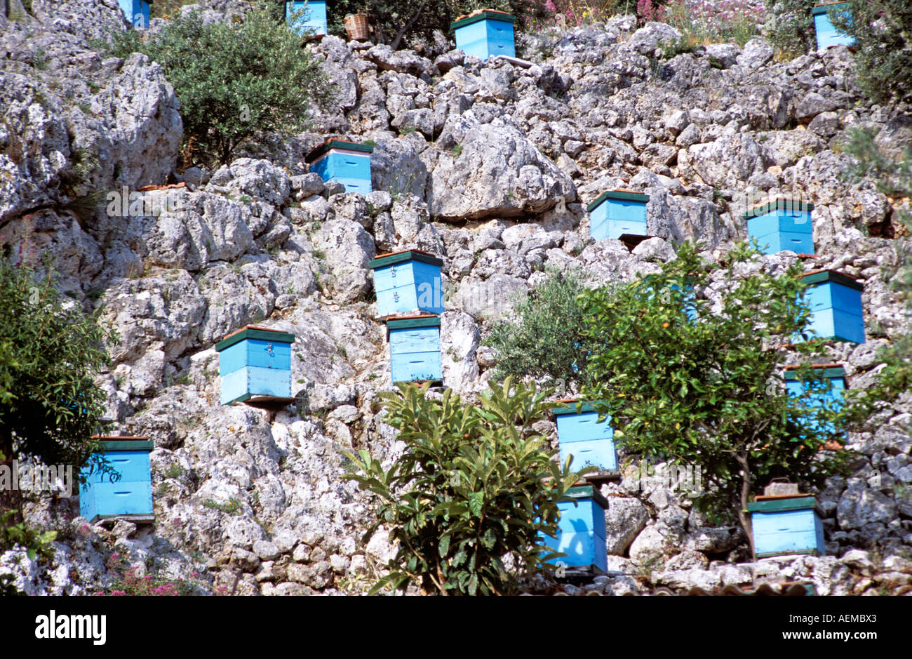 Bee hives hi-res stock photography and images - Alamy