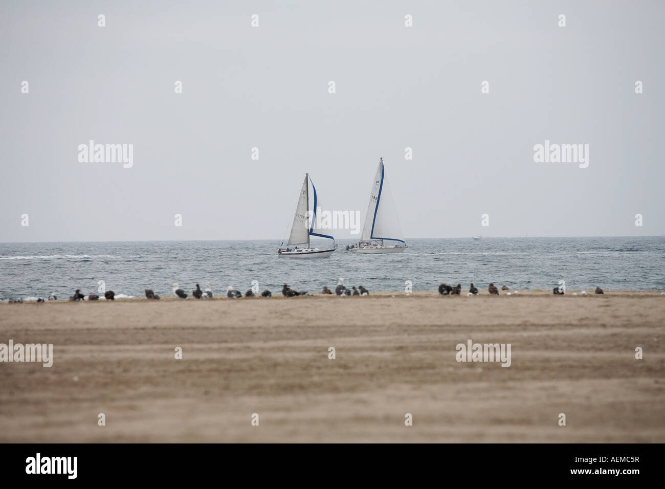 Sailboats in Playa del Rey, Los Angeles County, California USA Stock ...