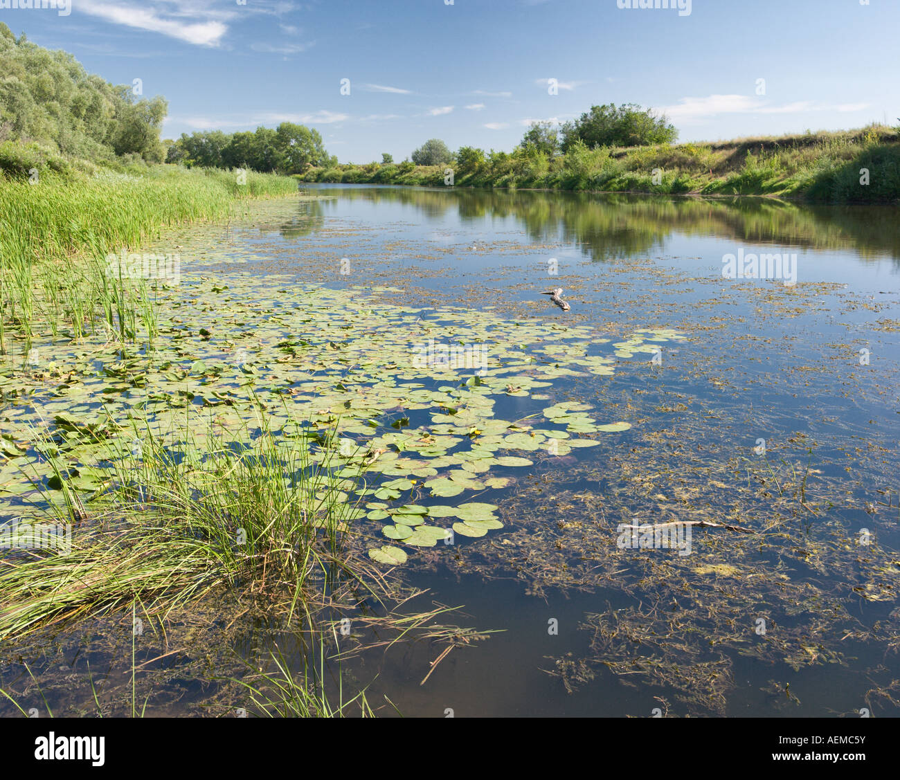 Oxbow pool hi-res stock photography and images - Alamy