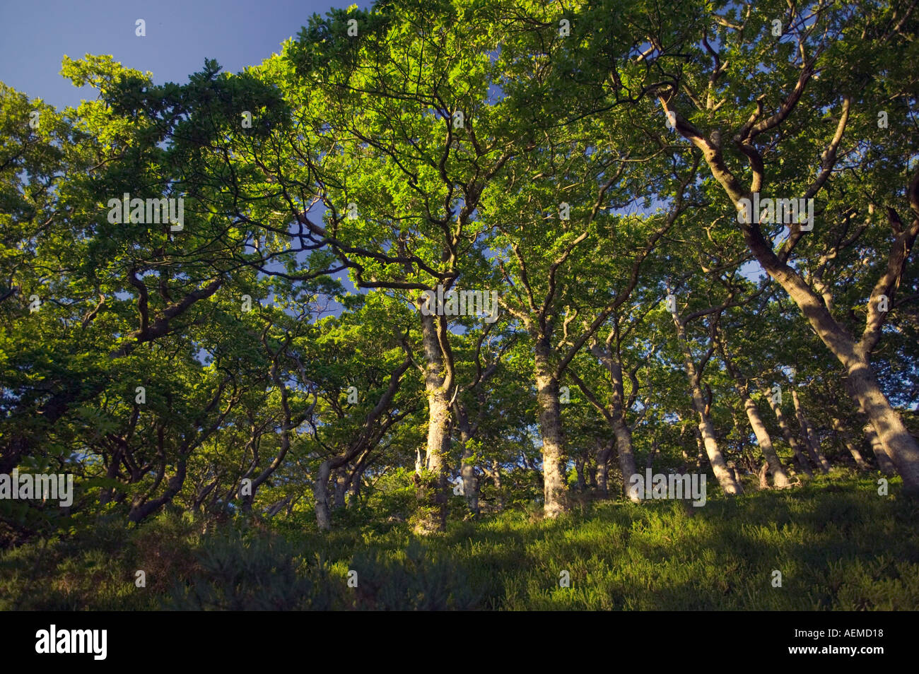 Llanfairfechan conwy hi-res stock photography and images - Alamy