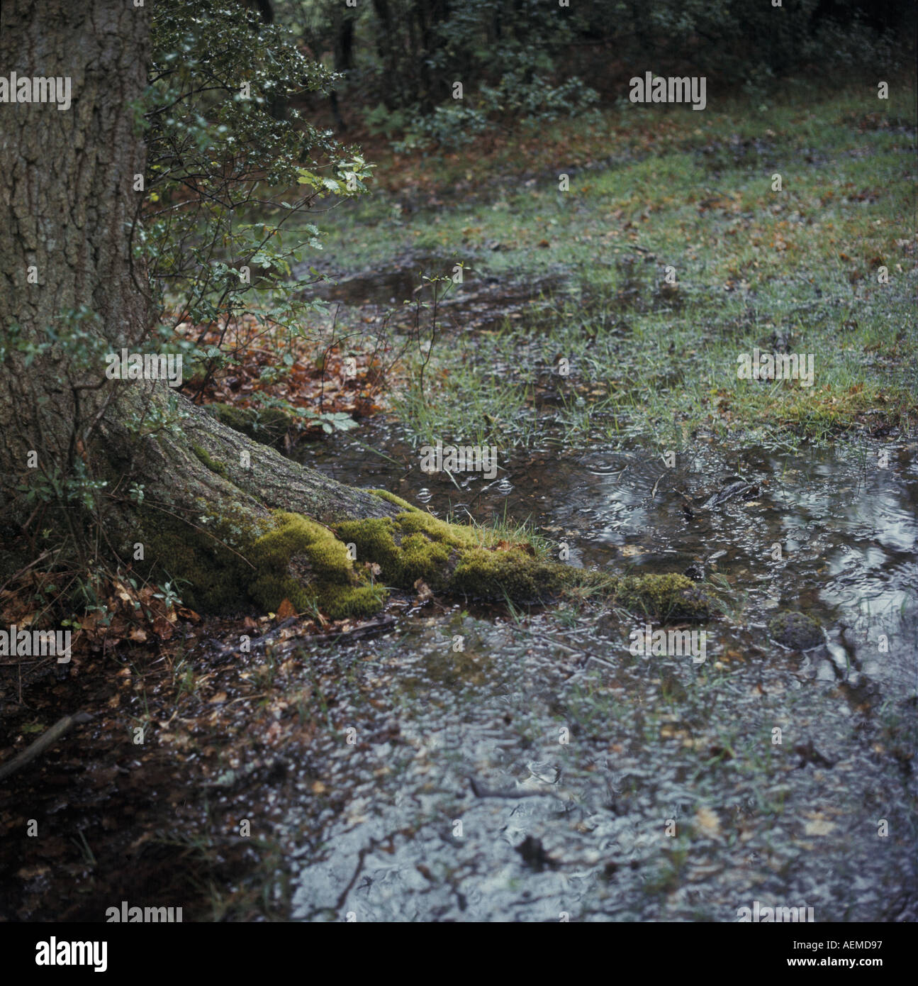 Weather horizontal hi-res stock photography and images - Alamy