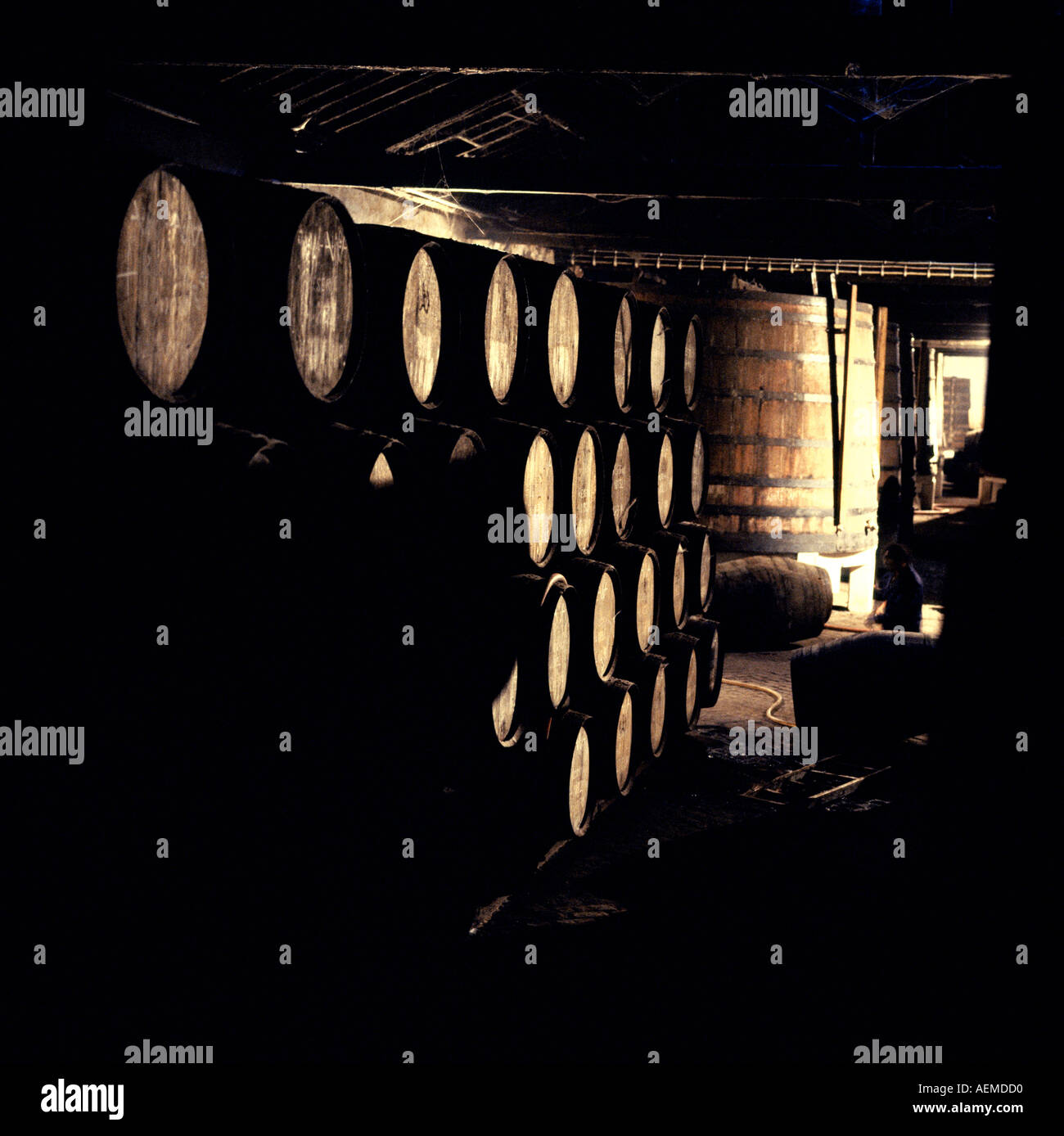 Port wine barrels and vats in Ferreira lodge storehouse, Vila Nova de ...