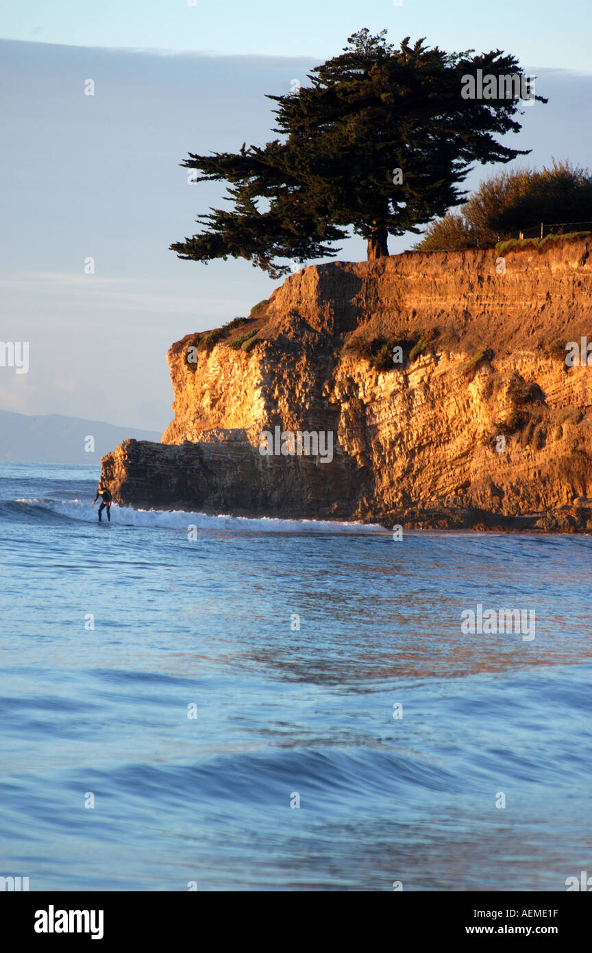 Surfer leadbetter beach hi-res stock photography and images - Alamy
