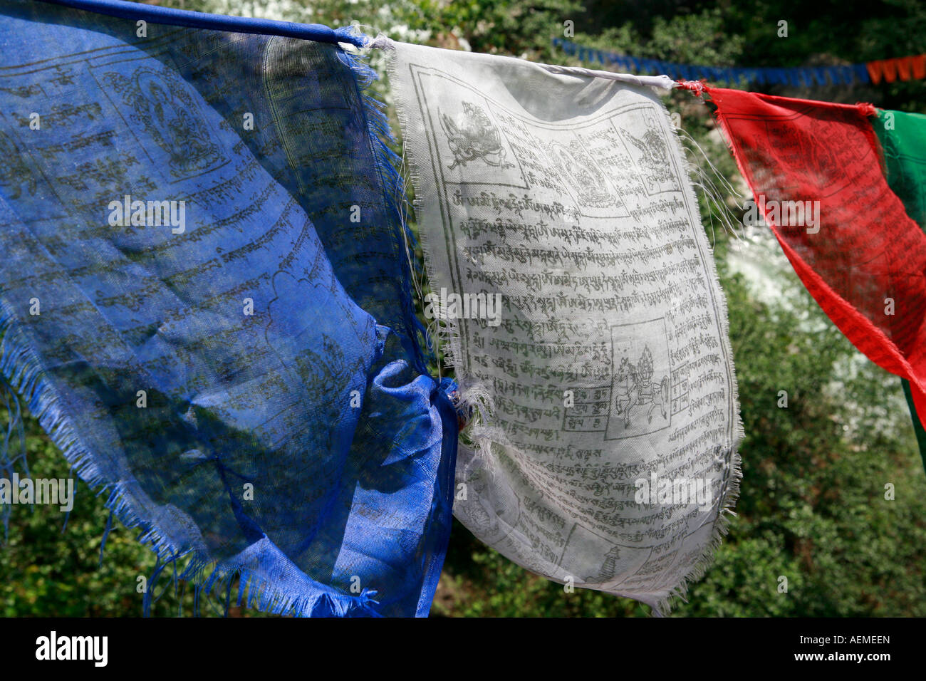 Buddhist prayer flags in the himalayan foothills of Sikkim, India Stock ...