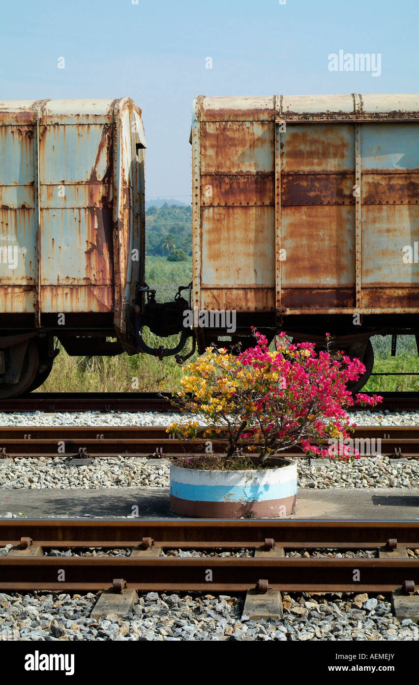 Two cars of an old rusty freight train Stock Photo - Alamy