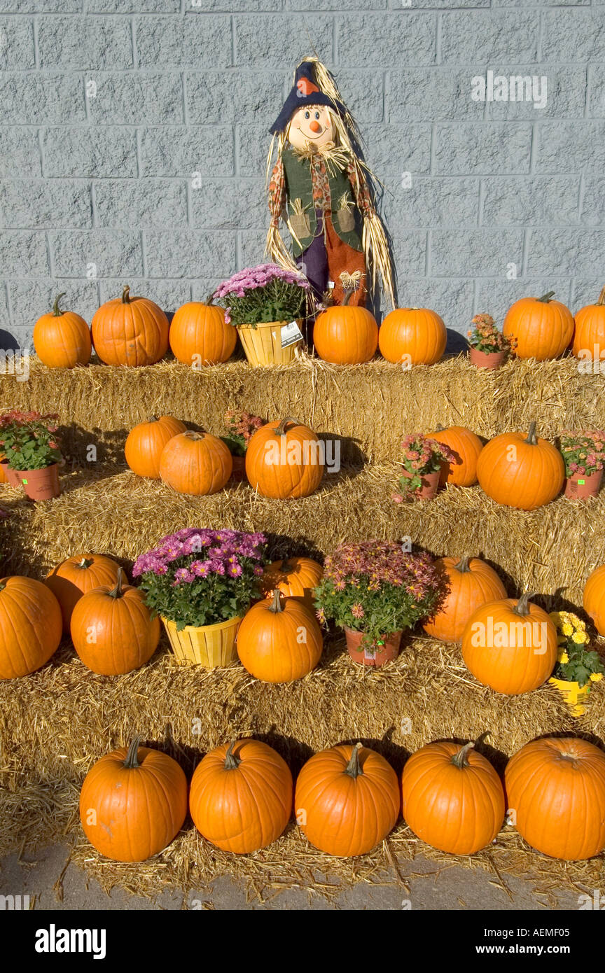 Display patterns hi-res stock photography and images - Alamy