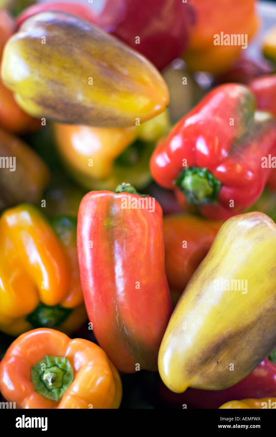Multi-colored bell peppers at a local market Stock Photo - Alamy