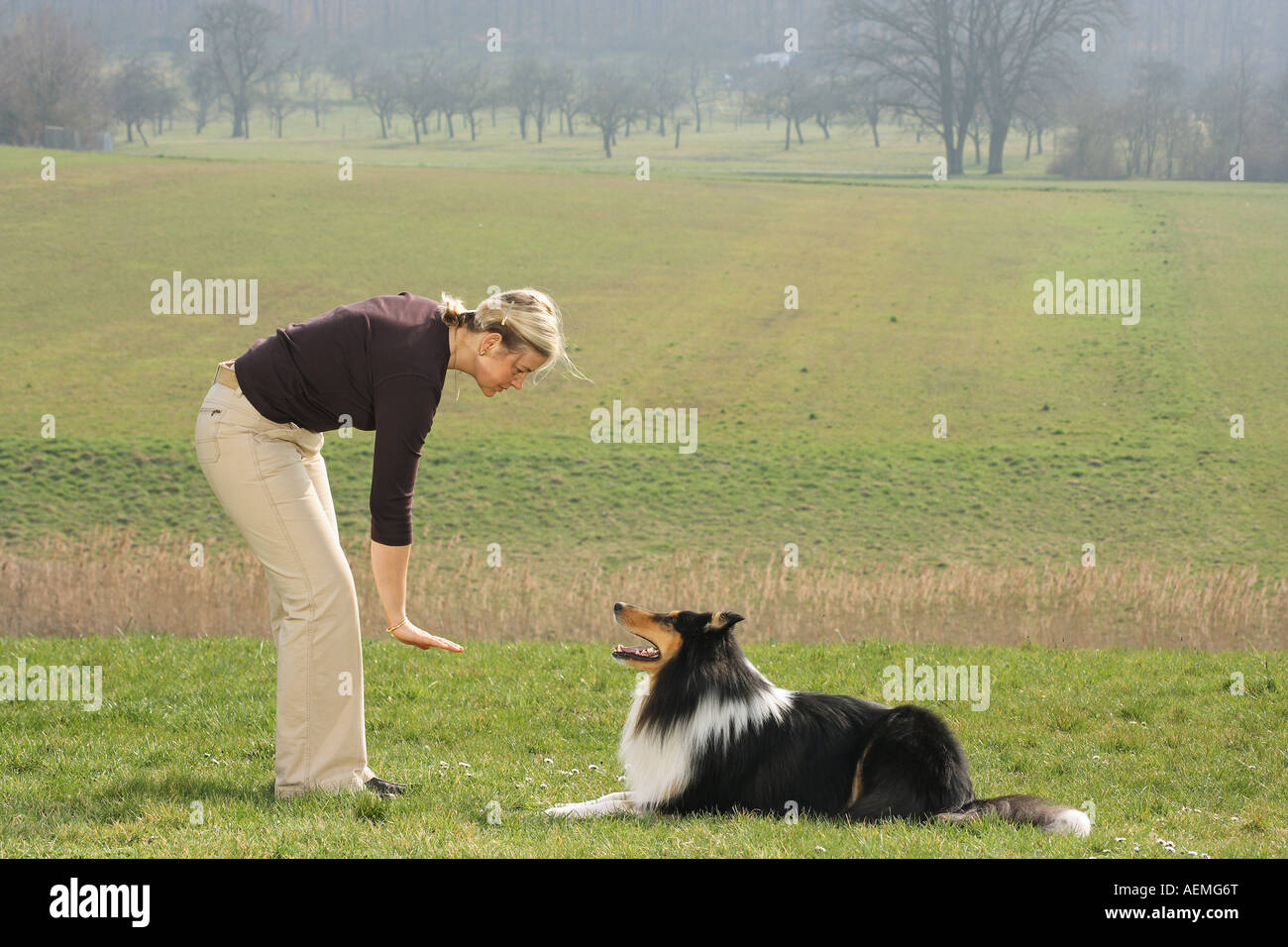 woman and Collie - Dog Dancing Stock Photo - Alamy