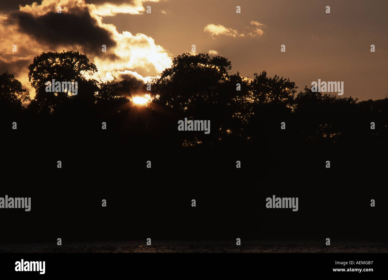 Sunset through Trees Stock Photo - Alamy