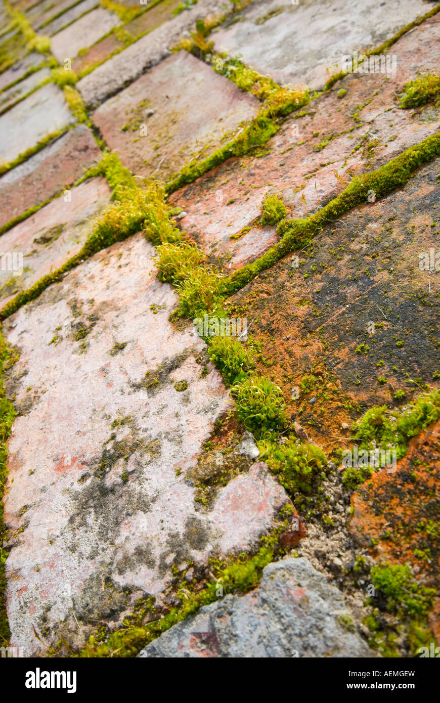 Bricks and moss hi-res stock photography and images - Alamy