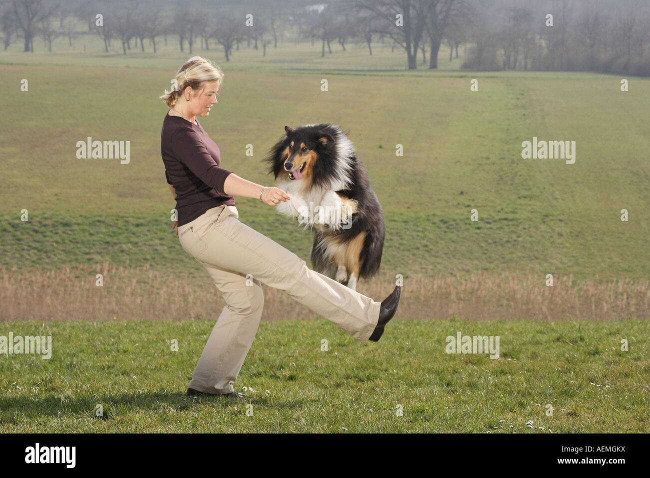 woman and Collie - Dog Dancing Stock Photo - Alamy