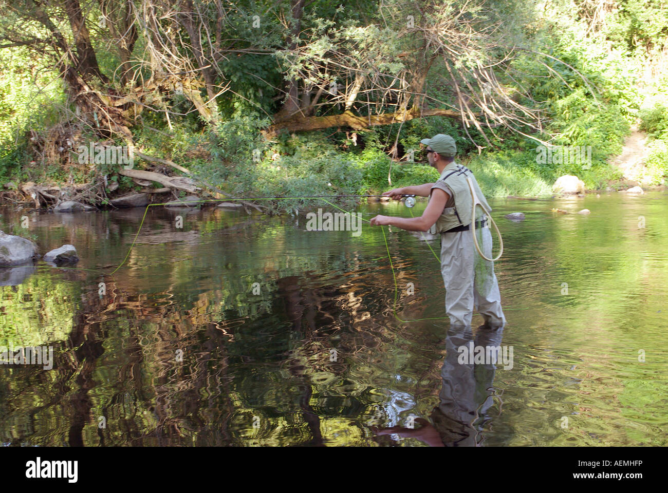 Royal coachman fly hi-res stock photography and images - Alamy