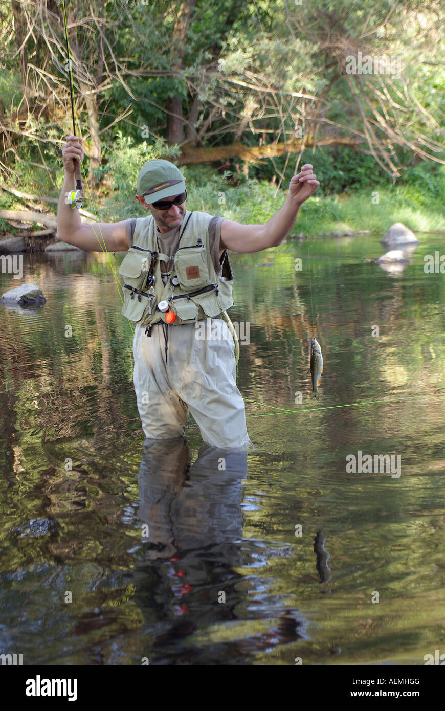 Fish draft hi-res stock photography and images - Alamy