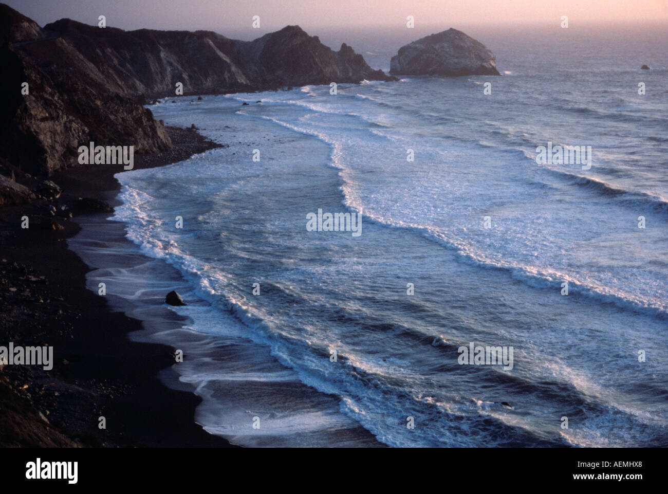 Bug sur hi-res stock photography and images - Alamy