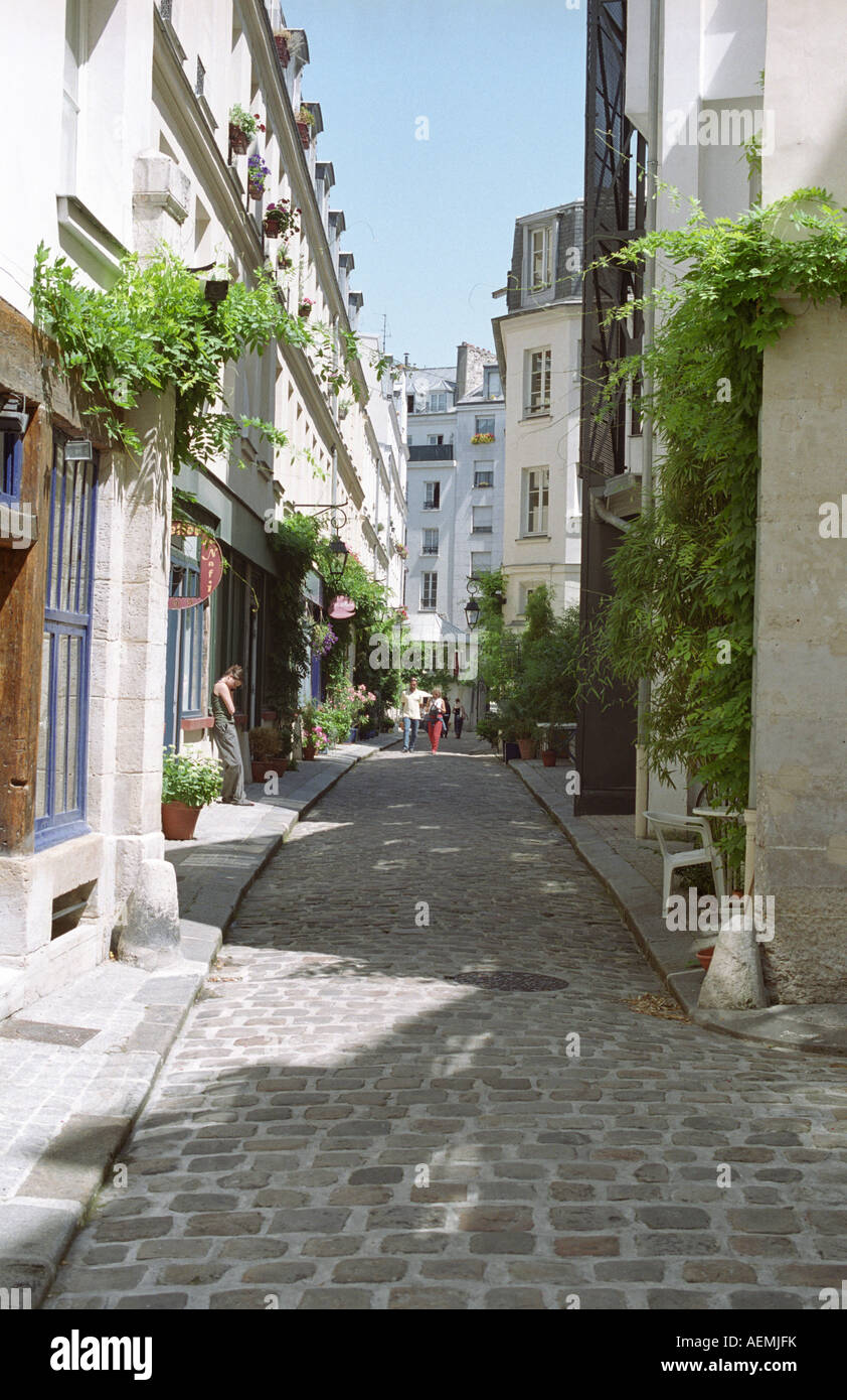 A small cobble stone street in Paris Cour Damoye Paris, France Stock ...