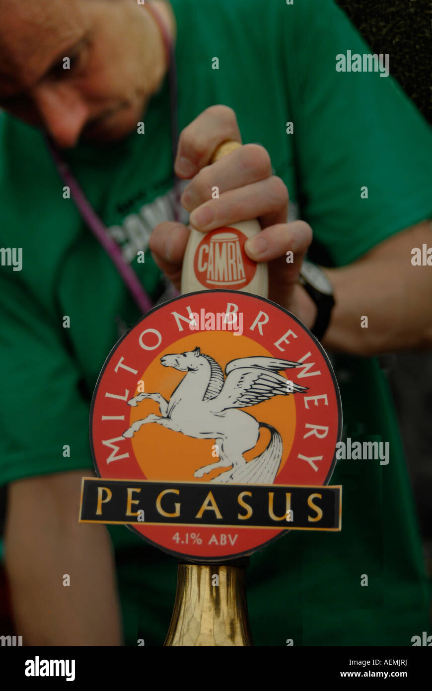 Barman pulling a pint of Pegasus ale at the Cambridge Beer Festival ...