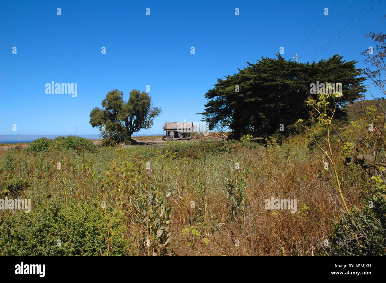 Condemed hi-res stock photography and images - Alamy