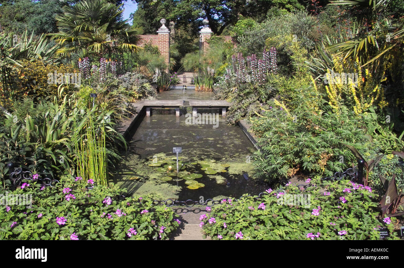 Ornamental water plants hi-res stock photography and images - Alamy