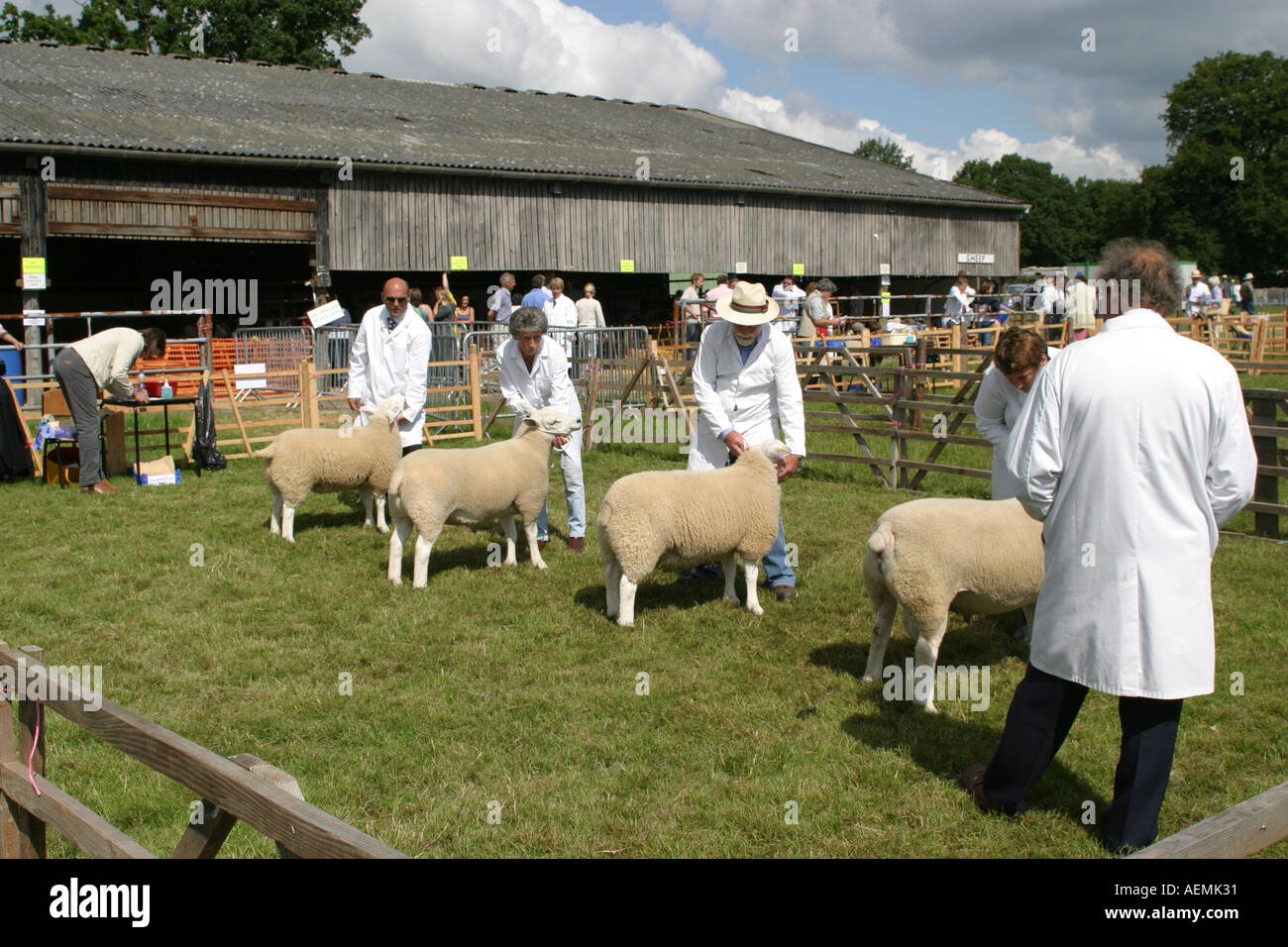 The Cranleigh Show August 2005 Stock Photo - Alamy